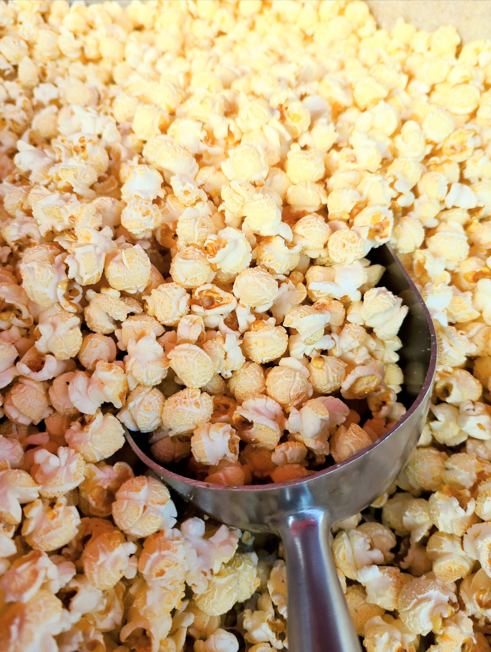 Chicago's Friendliest Kettle Corn! – Lincoln Land Kettle Corn